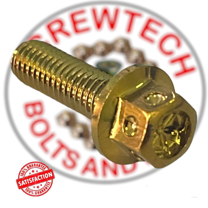 COT 5pcs FLOWER BOLT FLANGE HEX HEAD GOLD STAINLESS 304 6x20mm | Lazada PH