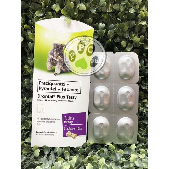 Drontal Plus Tasty Bone Tablet Dewormer 1 Pad 6 Tabs | Lazada PH