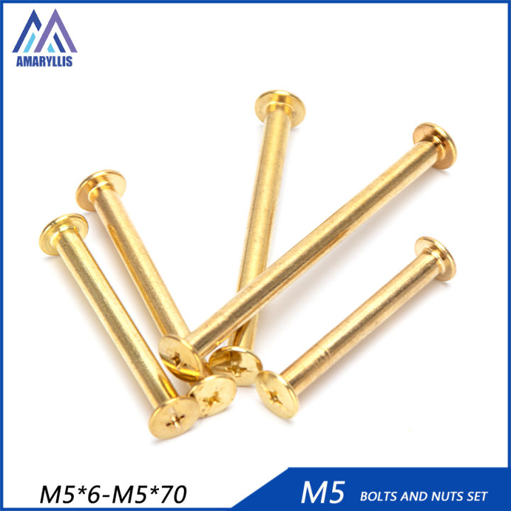 ตัวยึดเครื่องมือ DIY ขนาด6-70มม. ตัวจับแบบฟิลลิปส์ชุบทองเหลือง M5 5-20ชิ้นความยาวสกรูยึดชิคาโก ...