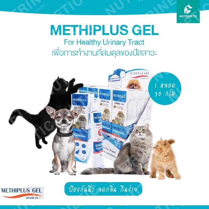 Methiplus gel 30 g. เจลอาหารเสริมปรับสมดุลปัสสาวะสำหรับสุนัขและแมว ดูแล ...