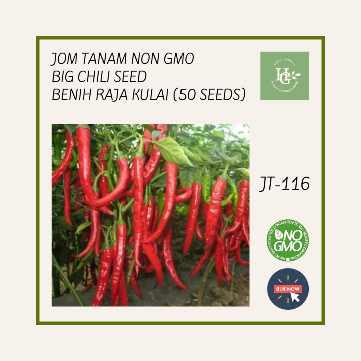 🌱JOM TANAM BY CROP POWER🌱 BIG RED CHILI SEED / BENIH RAJA KULAI (50 BENIH) JT-116 | Lazada