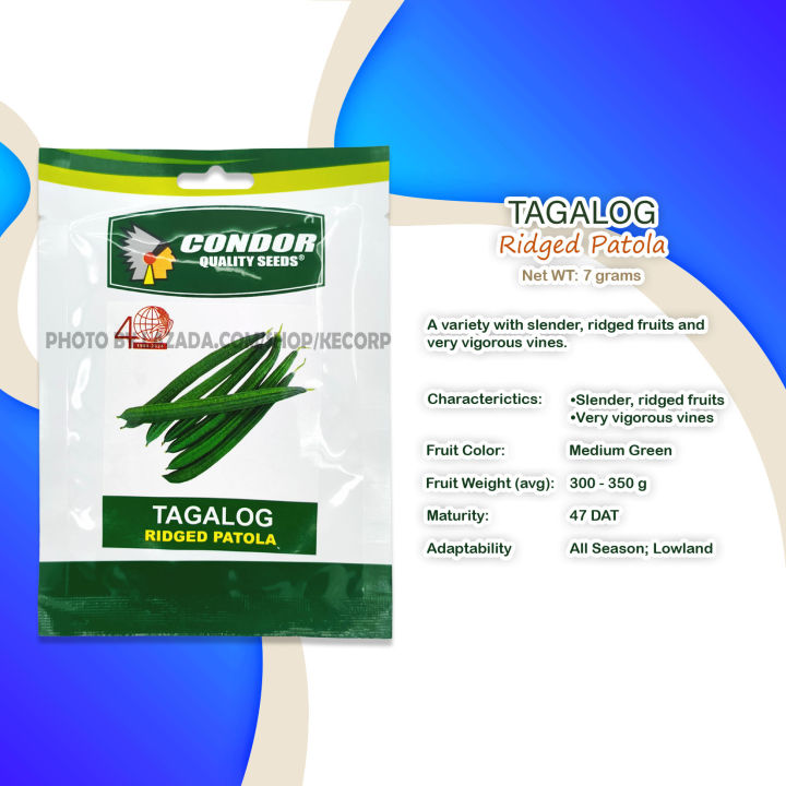 Condor Vegetable Seeds Patola Ridge Tagalog | Lazada PH