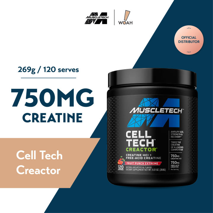 MuscleTech Cell Tech Creactor (120 Servings) Powder Creatine | Lazada ...
