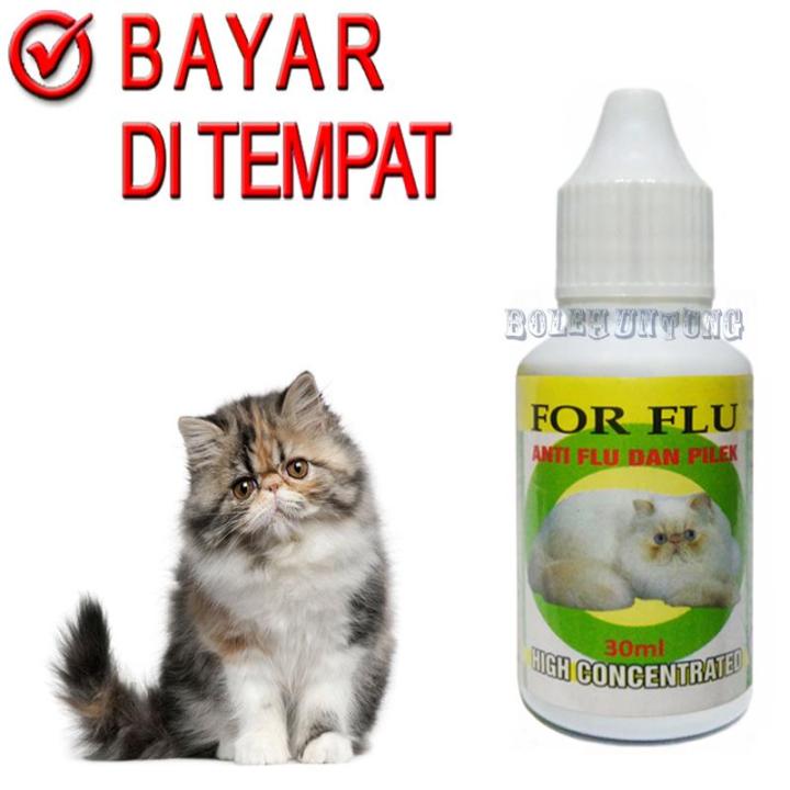FOR FLU Obat Flu kucing Sakit Pilek Bersin Saluran Pernapasan | Lazada ...