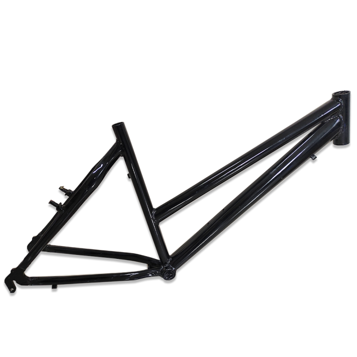 Lady Bike Frame Alloy (FRAME ONLY) | Lazada PH
