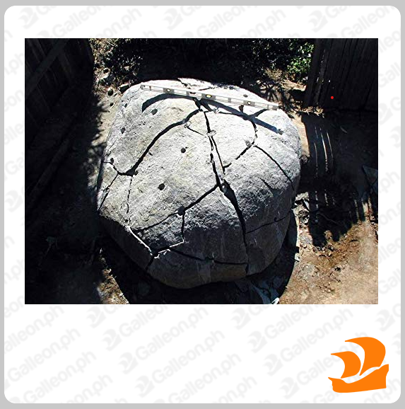 Dexpan Non Explosive Demolition Agent (11 lb Bucket) | Lazada PH