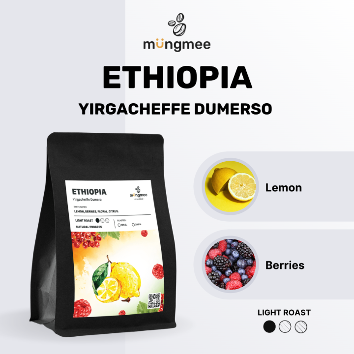Mungmee Coffee เมล็ดกาแฟ คั่วอ่อน Ethiopia Yirgacheffe Dumerso | Lazada ...