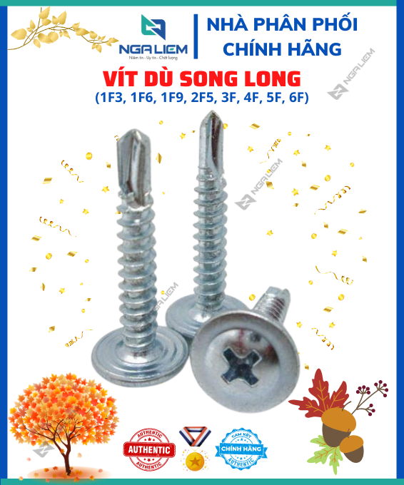 Vít Dù Song Long 1F3, 1F6, 1F9, 2F5, 3F, 4F, 5F, 6F (Chữ D loại Xịn) (BỌC 100, 200 GRAM) | Lazada.vn
