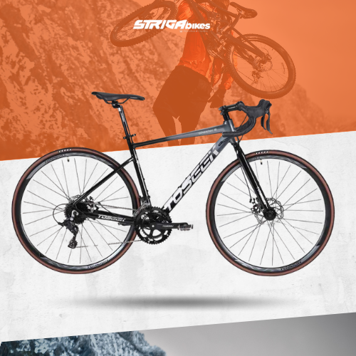 Toseek Chester 2 Road Bike 700c 2x9 Speed Sensah STI | Lazada PH