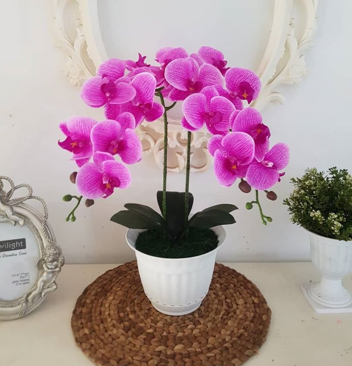 Gl Anggrek sudut set siap pajang hiasan ruang tamu bunga sudut bunga ...