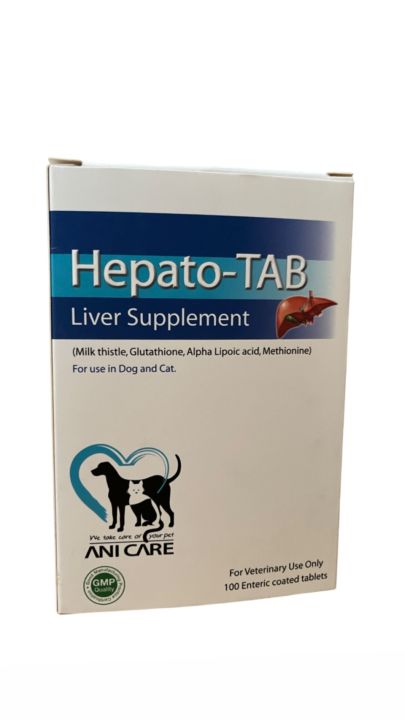 ยกกล่อง Hepato Tab บรรจุ 100เม็ด วิตามินบำรุงตับสำหรับสุนัขและแมว ...