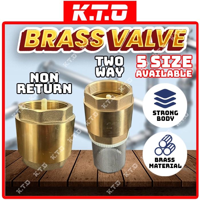 2 Way Or Non Return Brass Foot Valve Check Valve Pump Stainless Steel ...