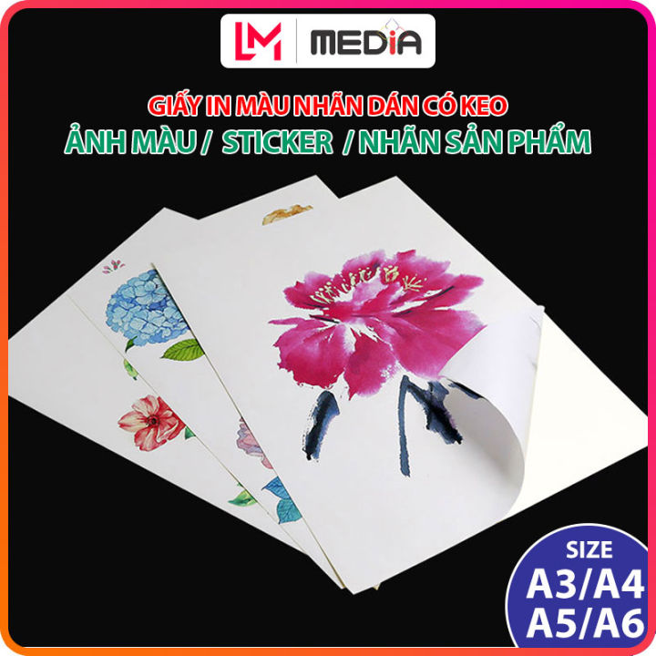 Giấy In Decal A4/A3/A5/A6 Media Mặt Bóng 135gsm 50 Tờ, Giấy Decal Bóng Nhãn Dán Sticker, Decal ...
