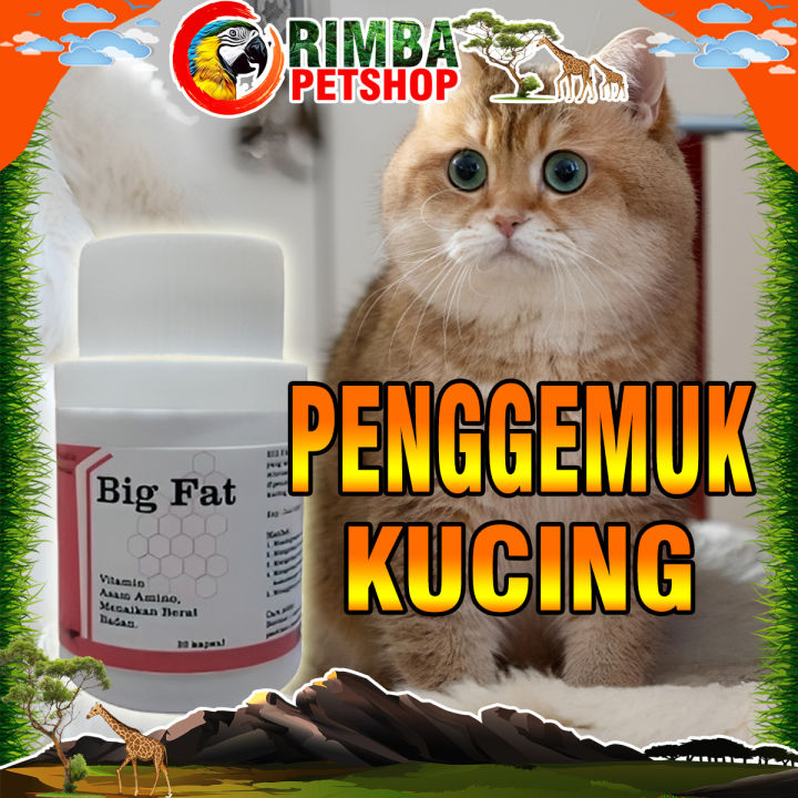 A5-BIG FAT Vitamin Penggemuk Kucing BIG FAT Vitamin Penggemuk Badan ...