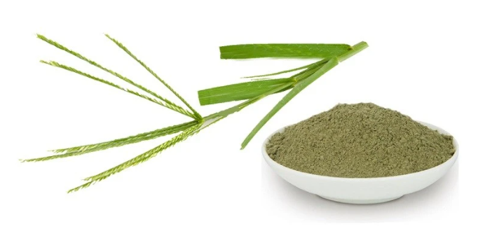 [50grams] PARAGIS POWDER PURE | Lazada PH