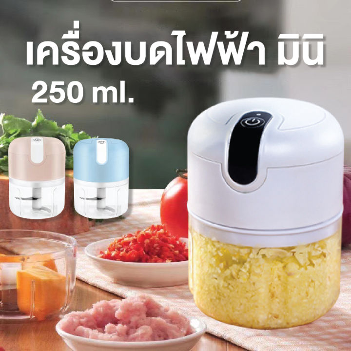 PANASI เครื่องบดสับไร้สาย เครื่องปั่นกระเทียม มินิไร้สาย เครื่องบด ...