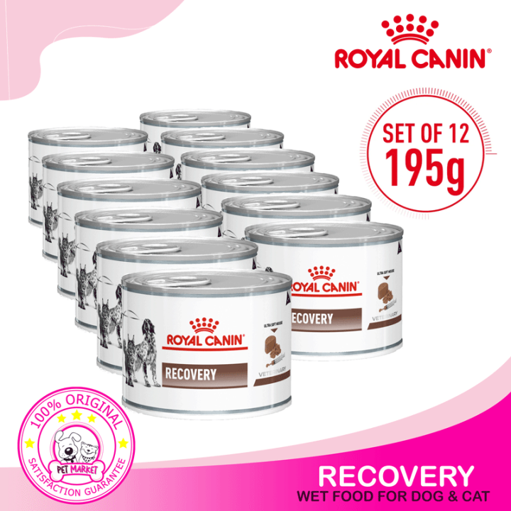 Royal Canin Recovery for Dog and Cat 195g x 12 cans | Lazada PH