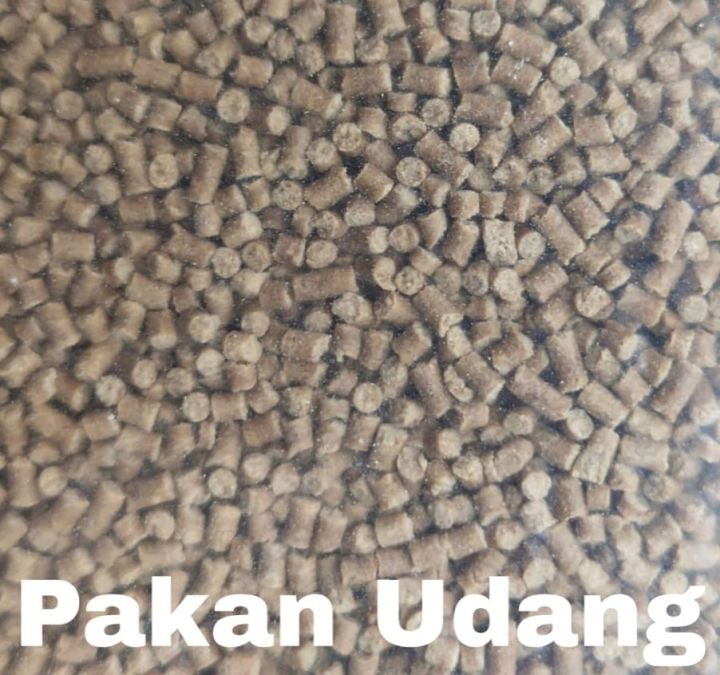 Pelet Pakan Udang Jenis Tengelam Lobster 3M | Lazada Indonesia