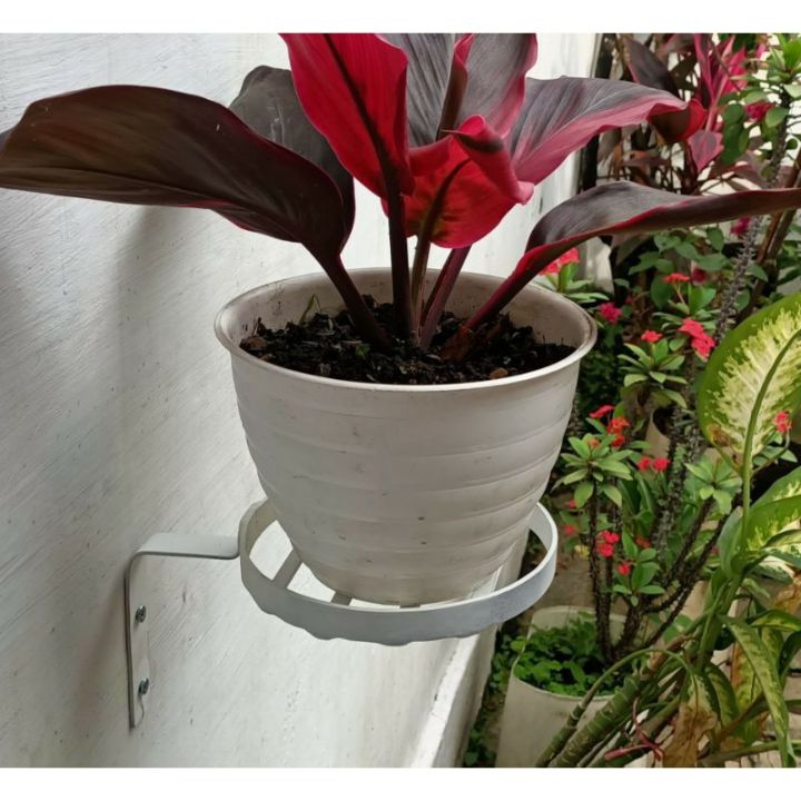 Rak bunga tempel dinding diameter 15 cm bahan full plat besi | Lazada ...
