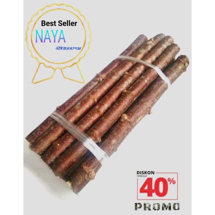 benih tanaman pohon singkong | Lazada Indonesia