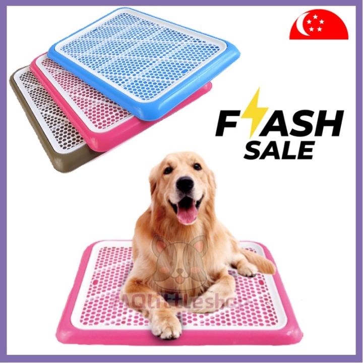 ★MQLITTLESHOP★ Pee Tray Pee Mat Pee pad pee tray for dog pee tray large ...