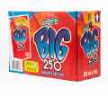 Big 250 Zesto Juice Drink (1 box x 10) 250mlx10 A | Lazada PH