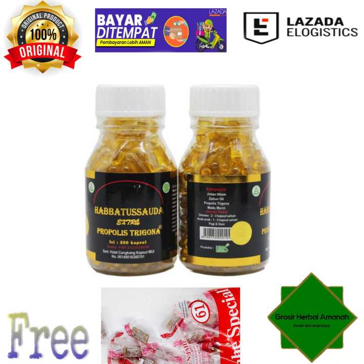 Promo!! Habbatussauda Extra Propolis Trigona 200 kapsul UMS | Lazada Indonesia