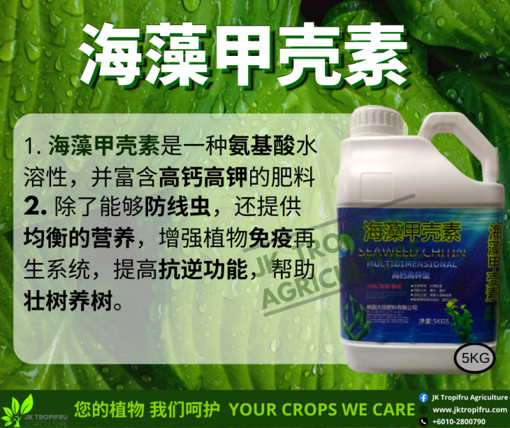 海藻甲壳素/Seaweed Chitin (5KG) Fertilizer/Baja air/肥水 | Lazada