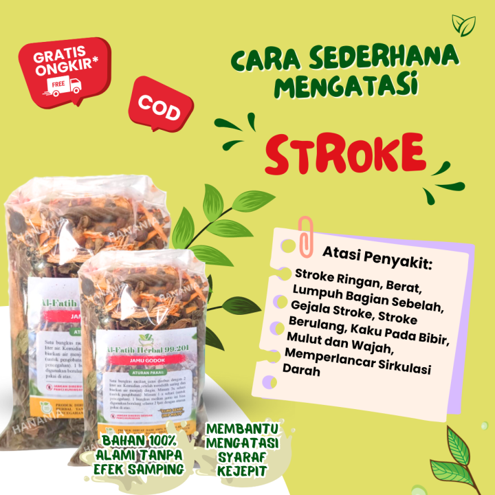 OBAT STROKE - OBAT STROKE RINGAN - STROKE BERAT - HIPERTENSI - Jamu ...