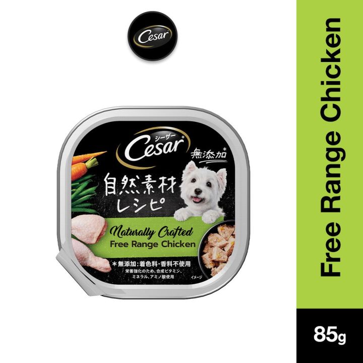 Cesar Naturally Crafted Australian Turkey Tray Dog Food 85g | Lazada PH