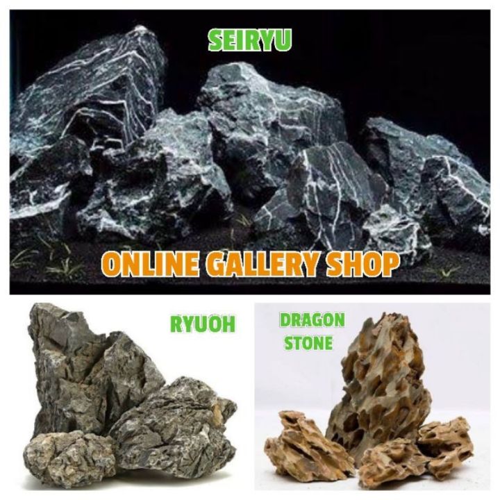 Aquascaping stone Dragon stone Seiryu stone Ryuoh stone 1kg | Lazada PH