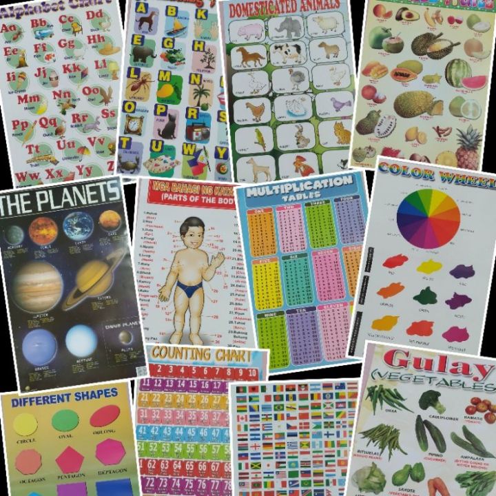 【COD】 Educational Wall Chart (SOFT PAPER) 13x20inches | Lazada PH
