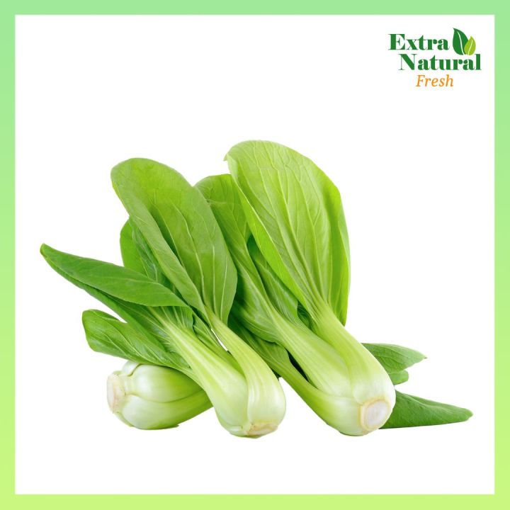 Fresh Siew Bak Choy 1pkt (+/-300g) |Fresh Vege| [Extra Natural Fresh ...