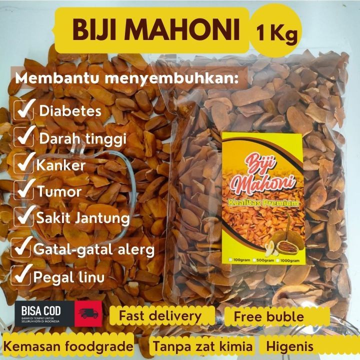 BIJI BUAH MAHONI 1 KG KUALITAS PREMIUM DIJAMIN KEASLIANNYA || BIJI ...