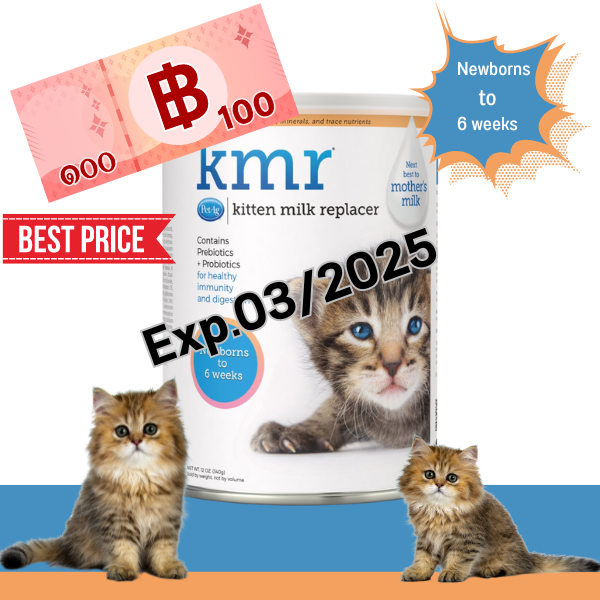 💥(ราคาพิเศษ) KMR Kitten milk replacer นมทดแทนแบบผงสำหรับลูกแมว | Lazada.co.th