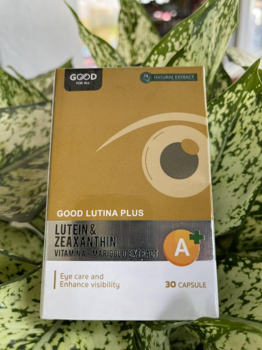 GOOD LUTINA PLUS lutein บำรุงสายตา 30 แคปซูล | Lazada.co.th