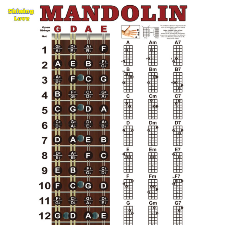 Mandolin Fretboard Notes Chart Finger Placement Chords Theory Poster ...