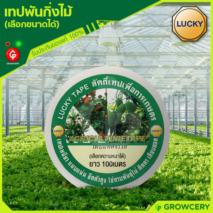 [G] เทปพันกิ่ง เทปติดตาต้นไม้ ยาว 100 ม. ยี่ห้อ LUCKY TAPE (หลายขนาด) โดย GROWCERY | Lazada.co.th