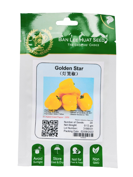 Ban Lee Huat Seed Local Singapore Grower's Choice Seed Sweet Golden ...