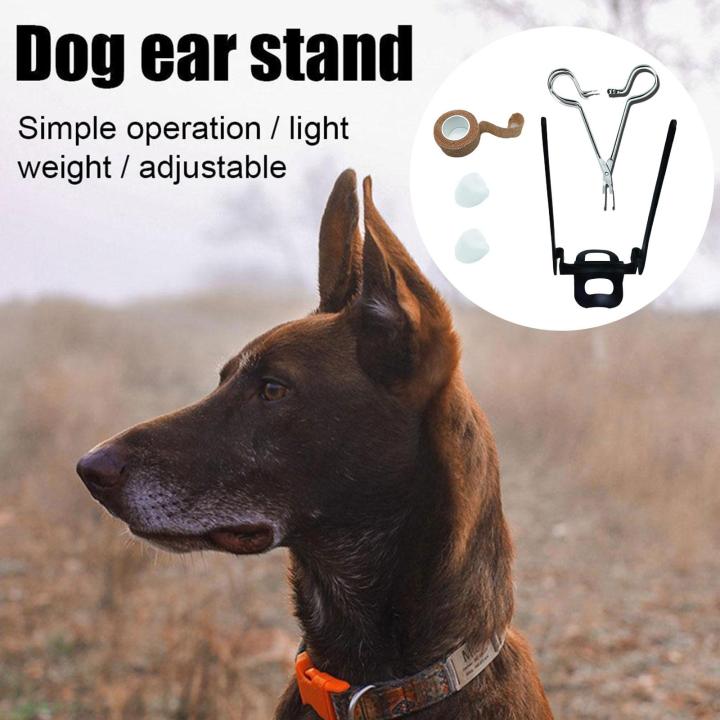 Dog Ear Stand Up Corrector Pet Dog Ear Lifter Safety Dog Pinscher Tools ...