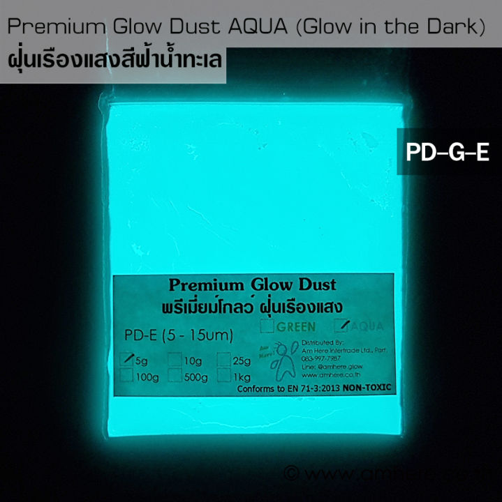 Premium Glow DUST 5g 10g 25g 100g (Glow in the Dark Dust) ฝุ่นเรืองแสง ...