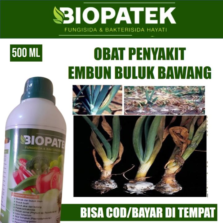 BIOPATEK 500 ML Obat Busuk Bawang Merah , Putih dan Bawang daun - Pupuk ...
