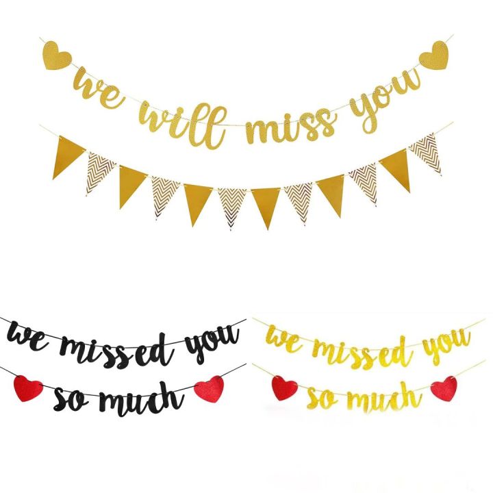 D455 We Will Miss You, We Missed You So Much Letter Garland Banner ...