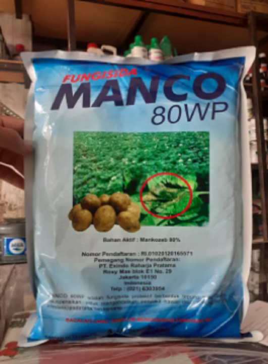 MANCO 80 WP FUNGISIDA | Lazada Indonesia