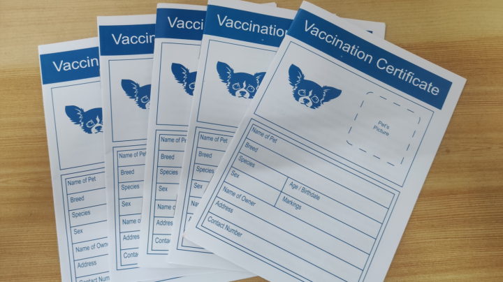 Pet Vaccination Card / Vaccination Certificate Vet Card Dog Catfor ...