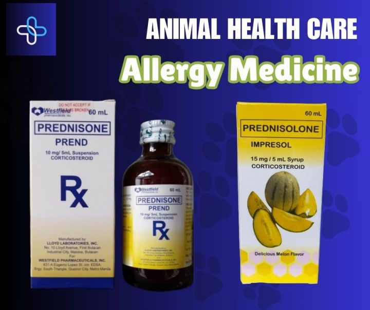 Pet medicines PREND/IMPRESOL 60ML SYRUP/SUSPENSION/TABLET | Lazada PH