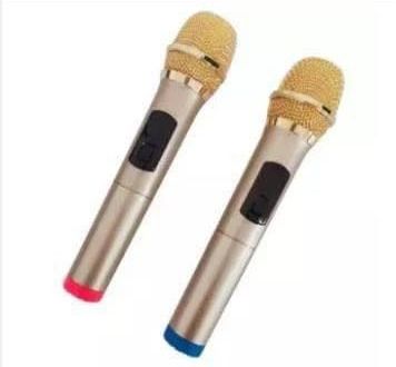 Universal Wireless Dual Microphone USB02AB | Lazada PH