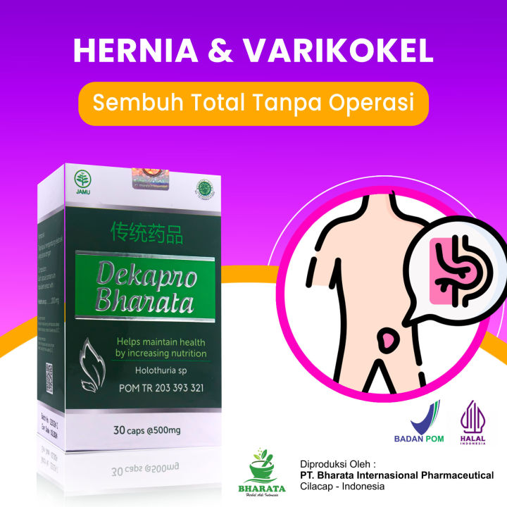 Obat Varikokel Hernia Turun Berok Paling Ampuh Dekapro Bharata Kemasan 250g Isi 30 Kapsul 100% ...