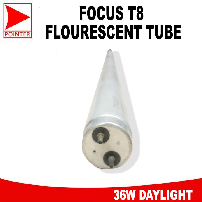 Focus 36W T8 Daylight Fluorescent Tube Light Daylight 122cm | Lazada PH