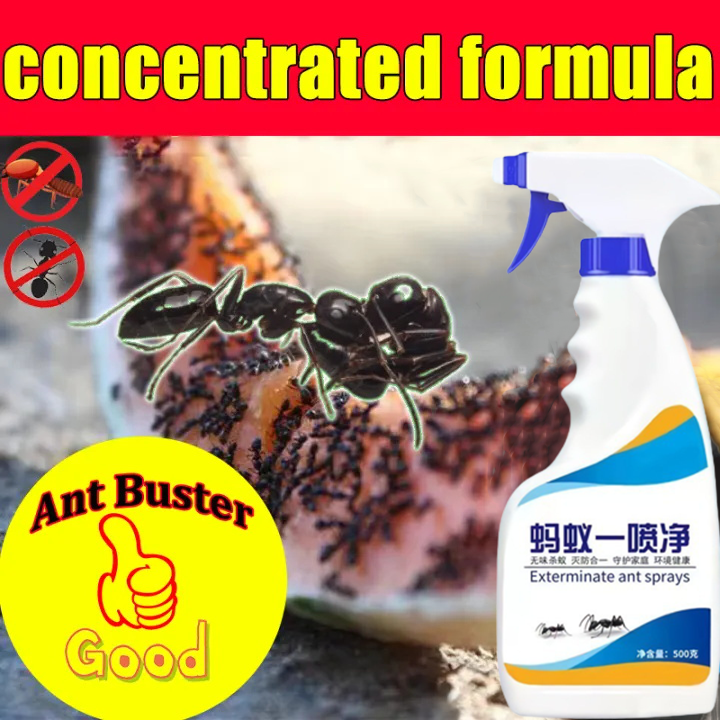 Ant Killer Spray Insecticide Spray | Lazada PH